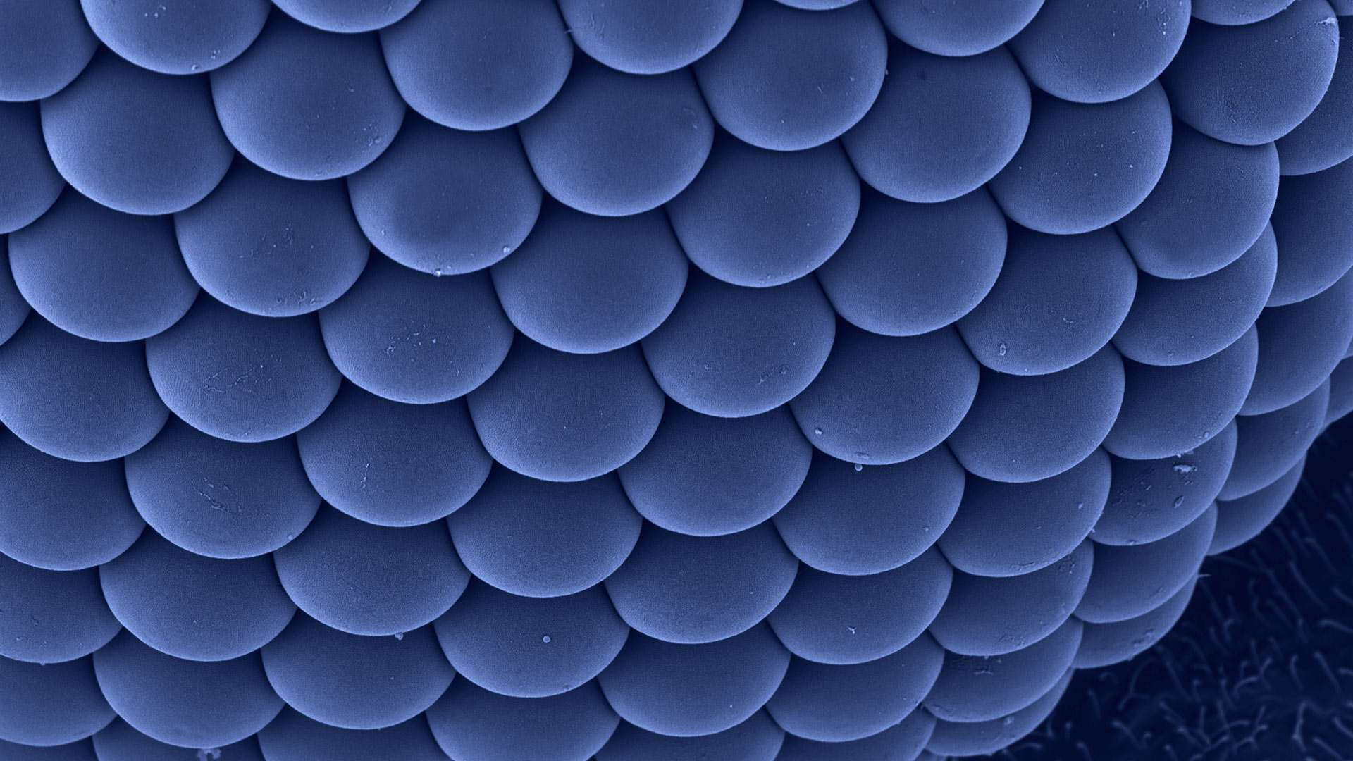 Science Photo Library - 1920x1080 Wallpaper - teahub.io