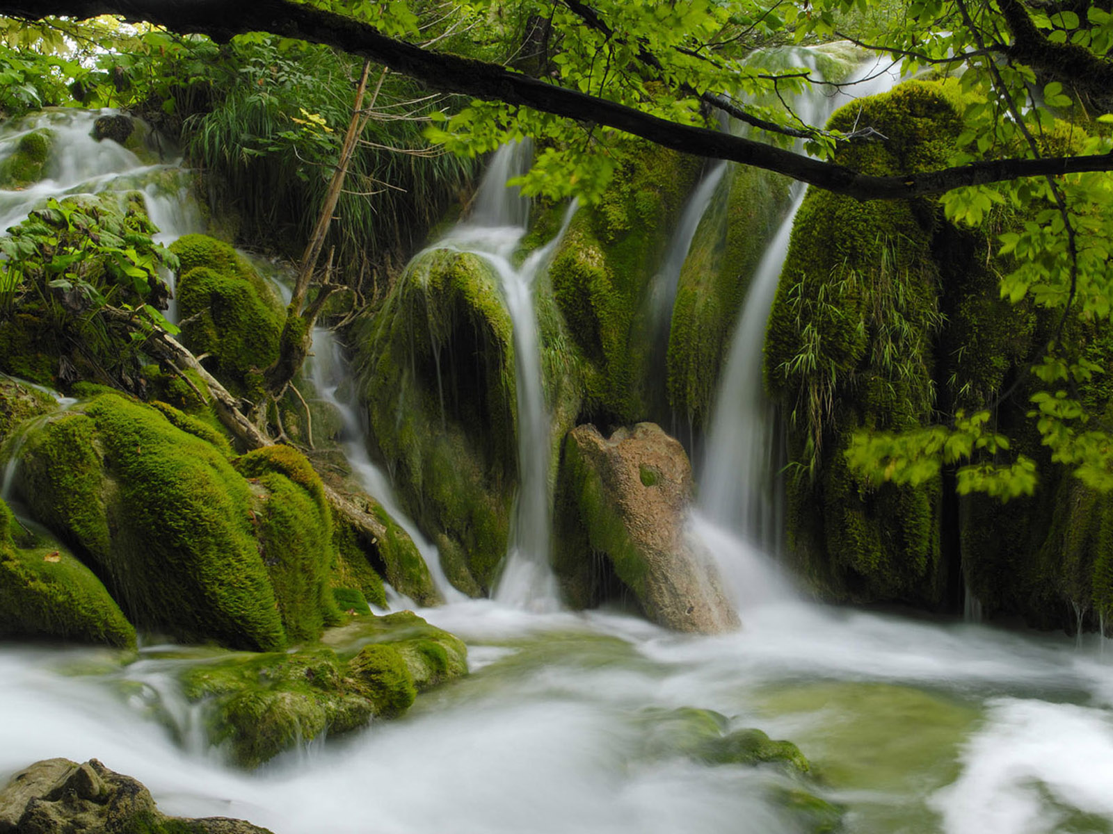 Liver Cirrhosis Confluent Fibrosis Ct - 1600x1200 Wallpaper - teahub.io