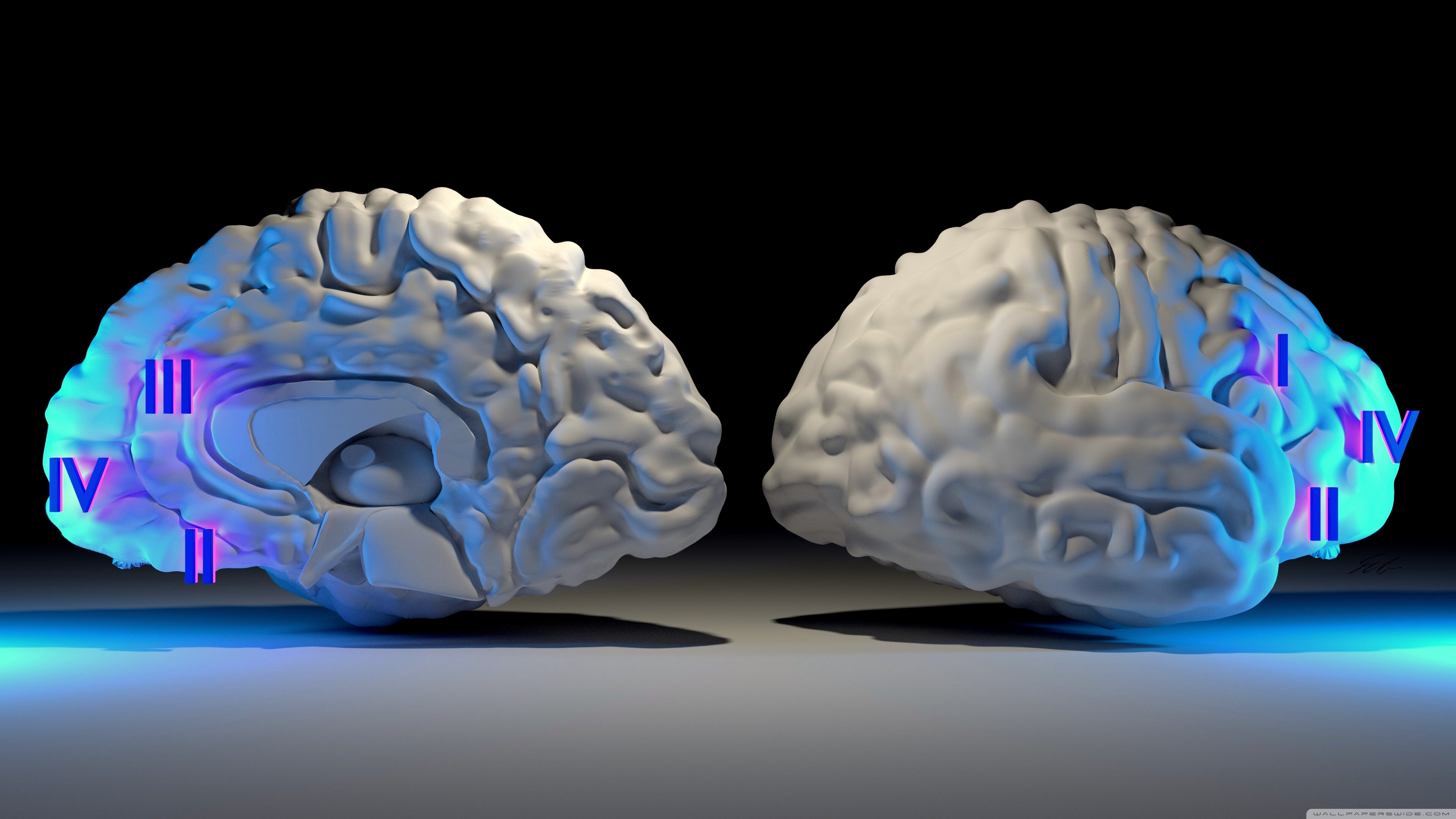 Ultra Hd Brain Wallpaper 4k - 3840x2160 Wallpaper - teahub.io