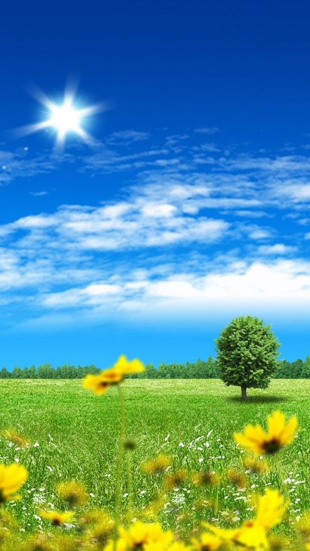 Sineri Photo Download Hd - 610x1084 Wallpaper - teahub.io