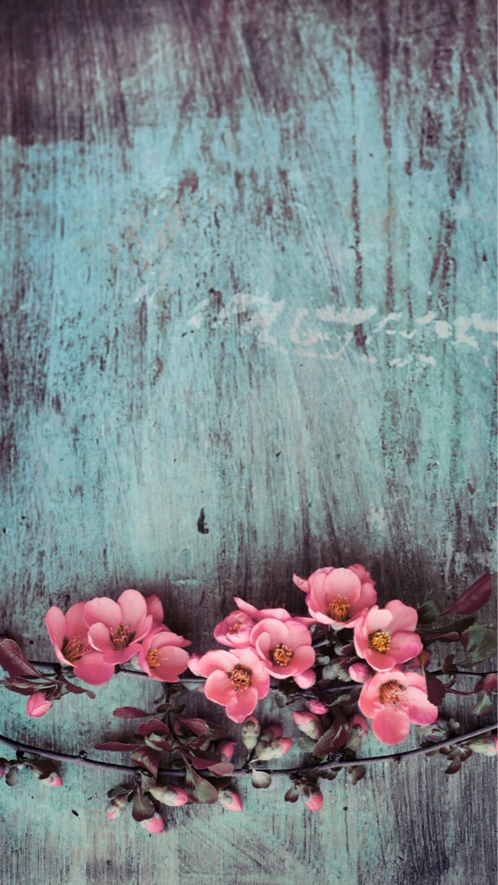 Wallpaper And Flowers Image - Teal With Pink Flowers Background ...