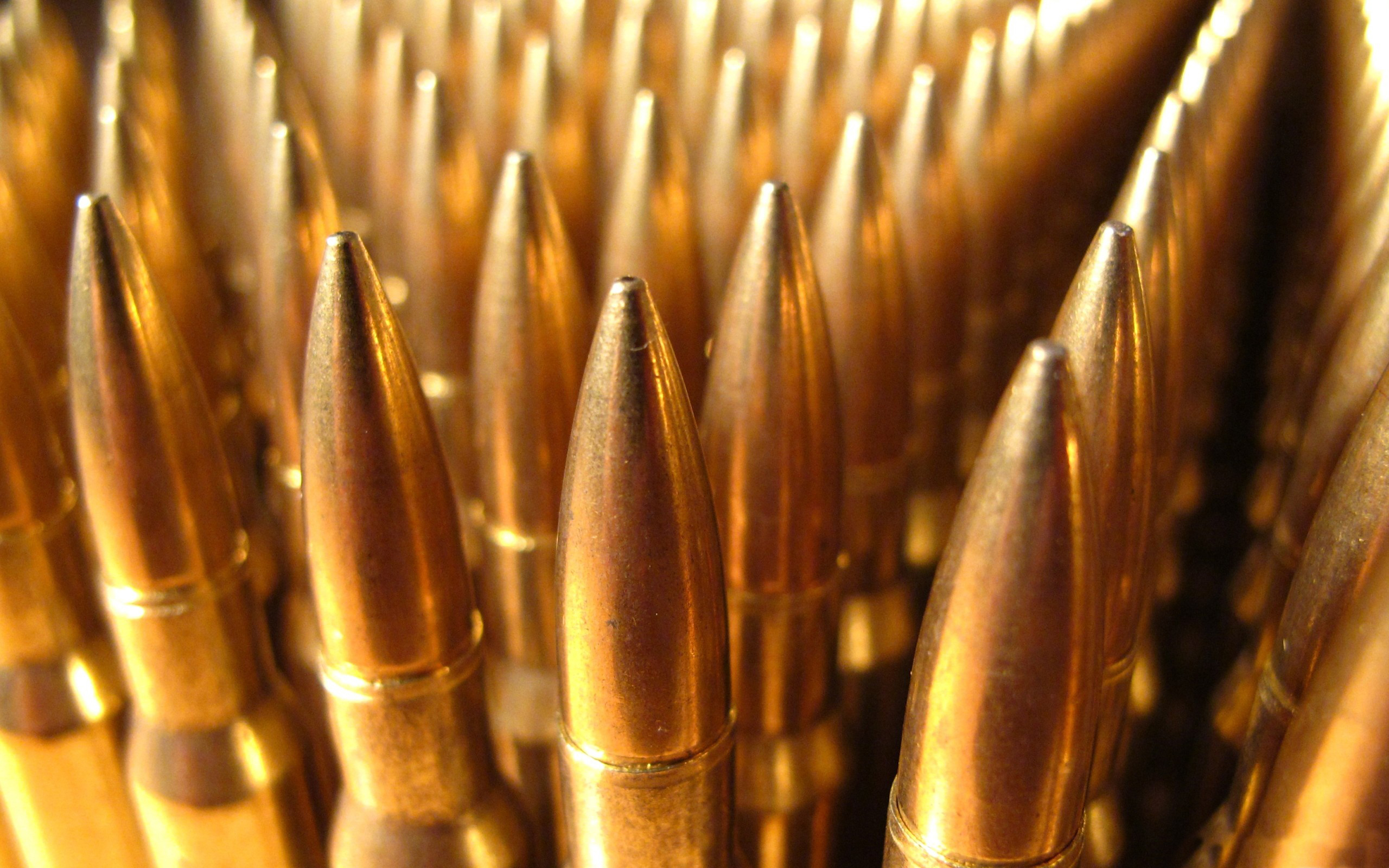 Bullet Hd Wallpaper Download - 2560x1600 Wallpaper - teahub.io