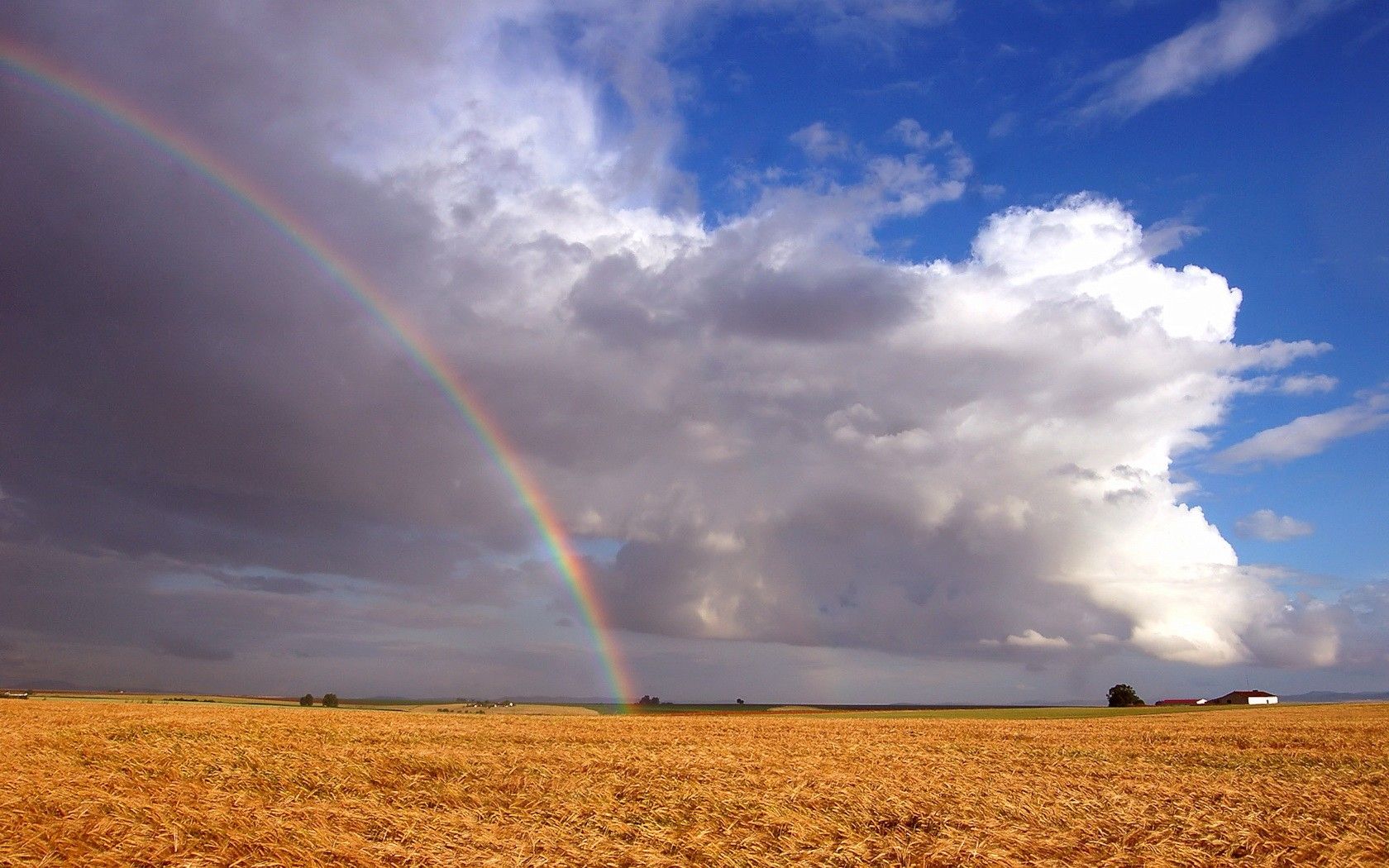 Field, Rainbow, Clouds - Rainbow Field - 1680x1050 Wallpaper - teahub.io