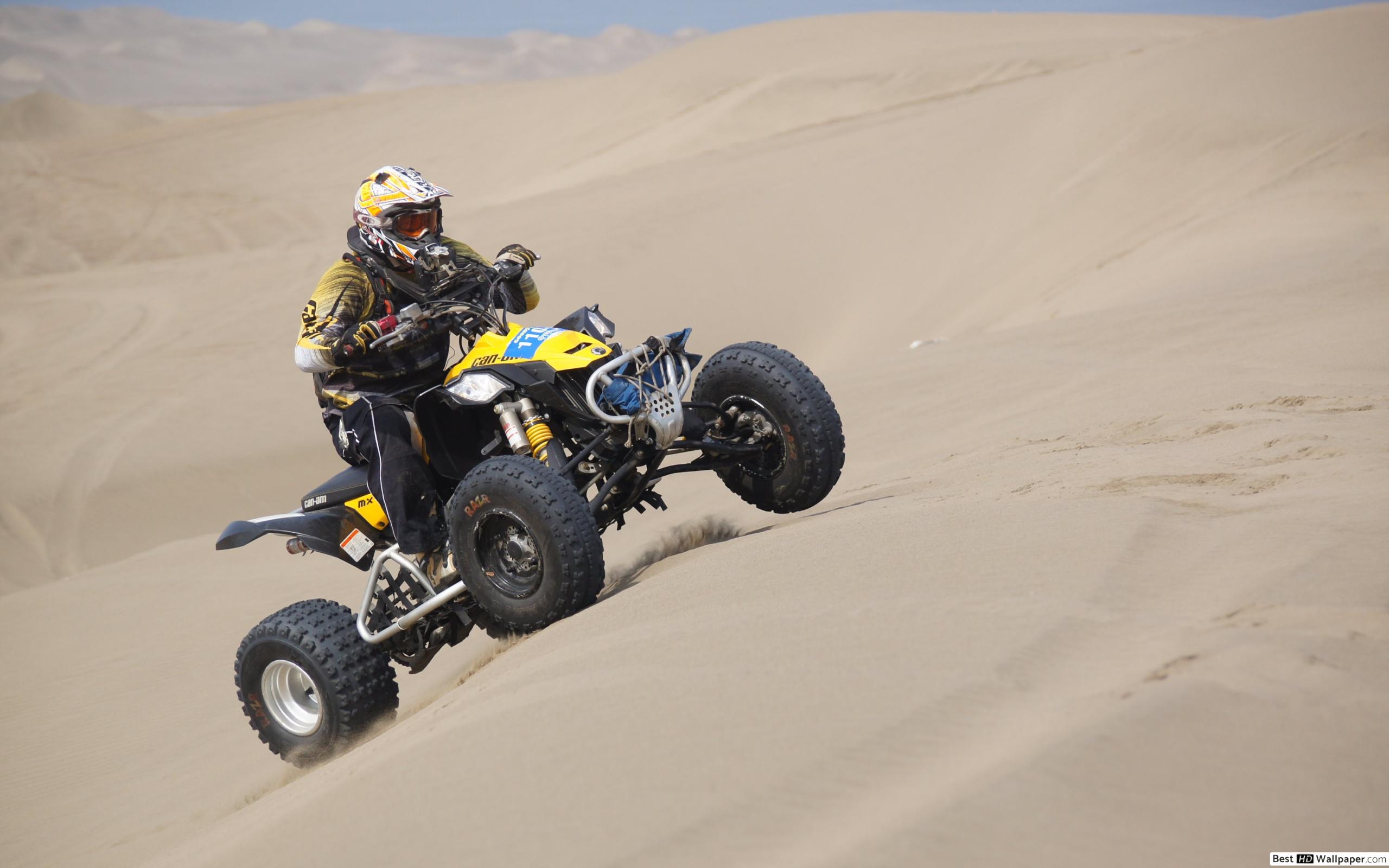 Atv Desert - 2560x1600 Wallpaper - teahub.io