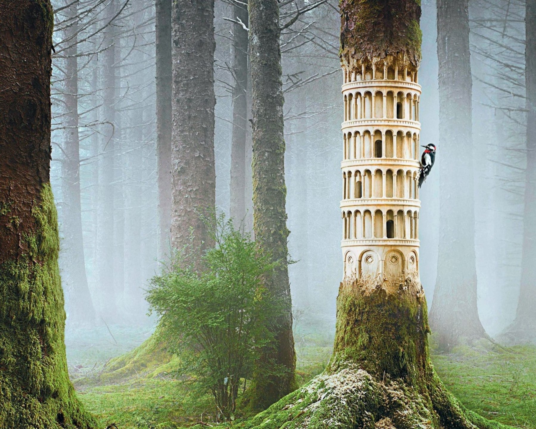 Fantasy Tower In A Forest - 1800x1440 Wallpaper - teahub.io