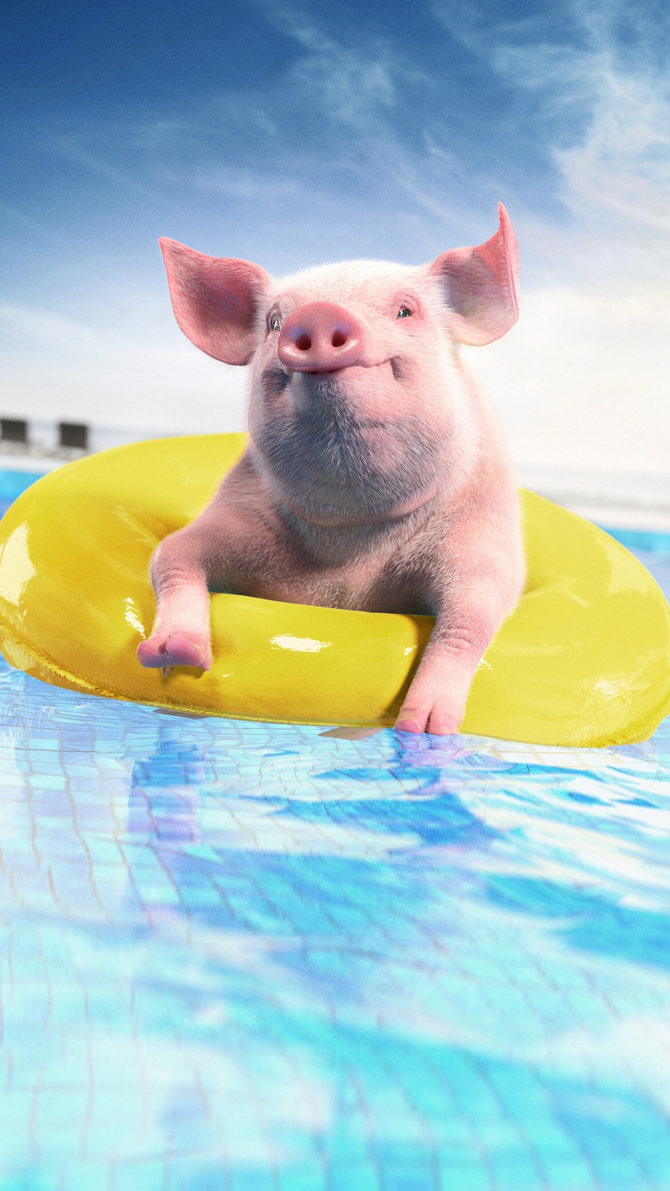 Wallpaper Pig, Rubber Ring, Funny, Animal, Pool - Pig In The Pool ...