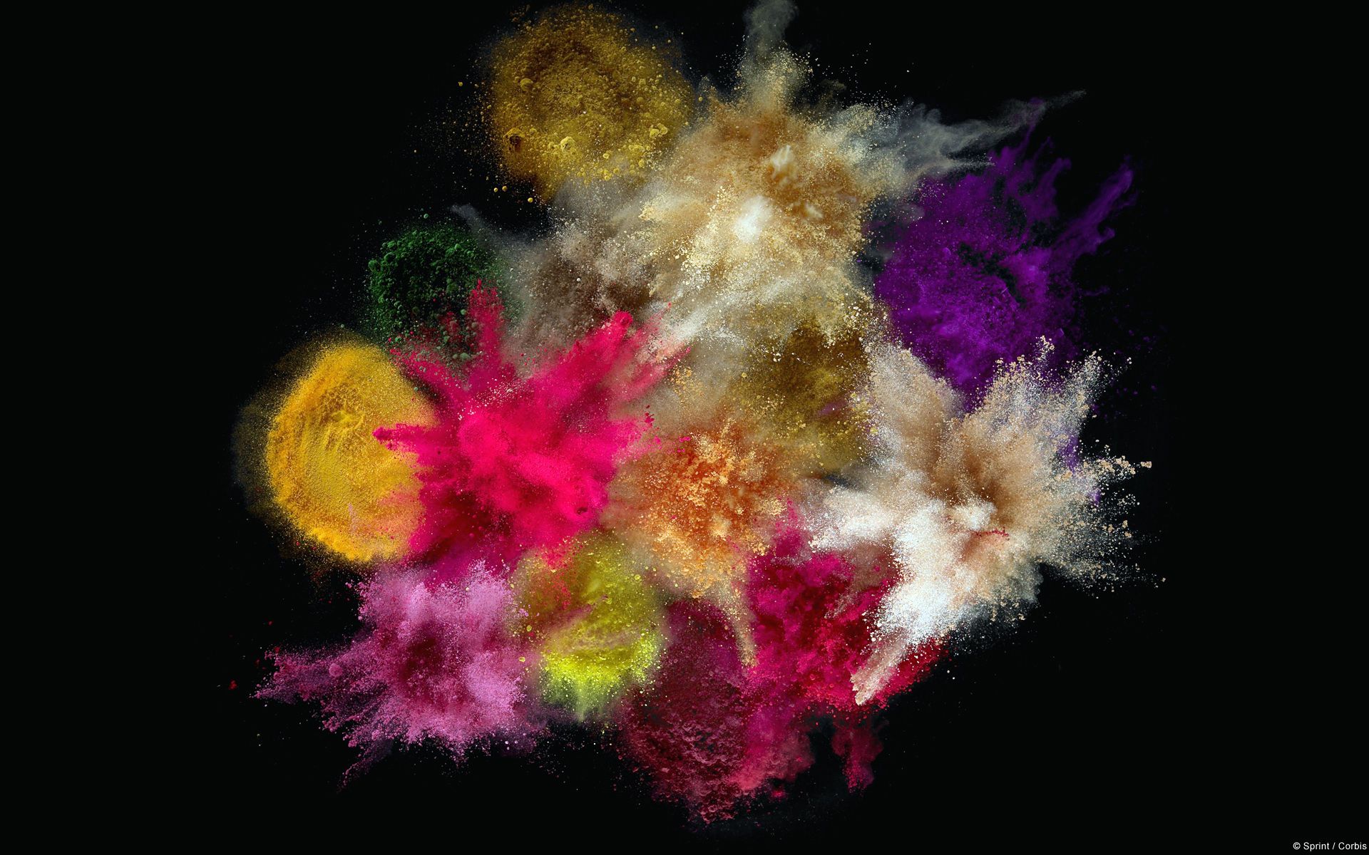 Color Splash Windows 10 - 1920x1200 Wallpaper - teahub.io