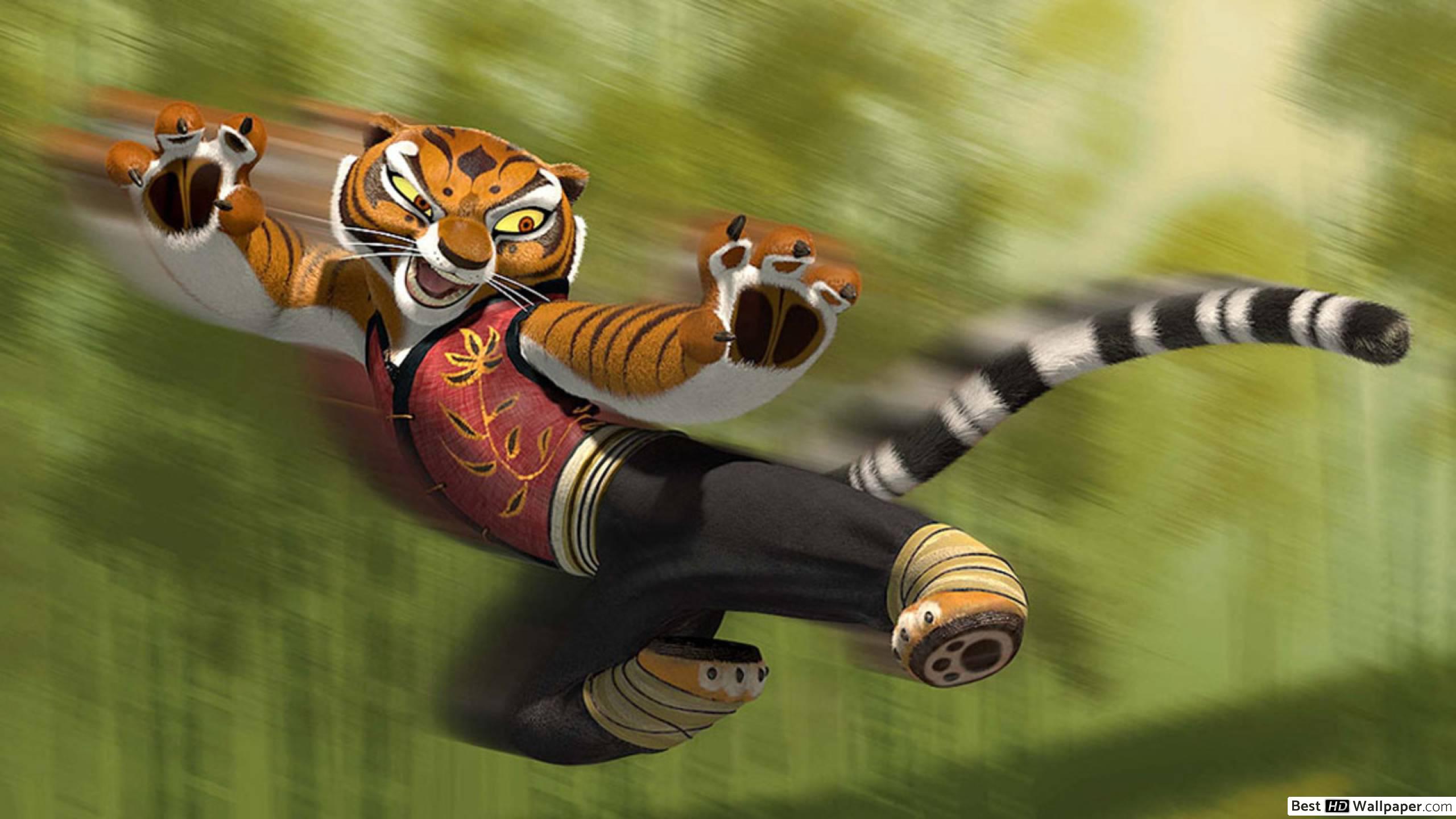 Master Tigress Angelina Jolie - 2560x1440 Wallpaper - teahub.io