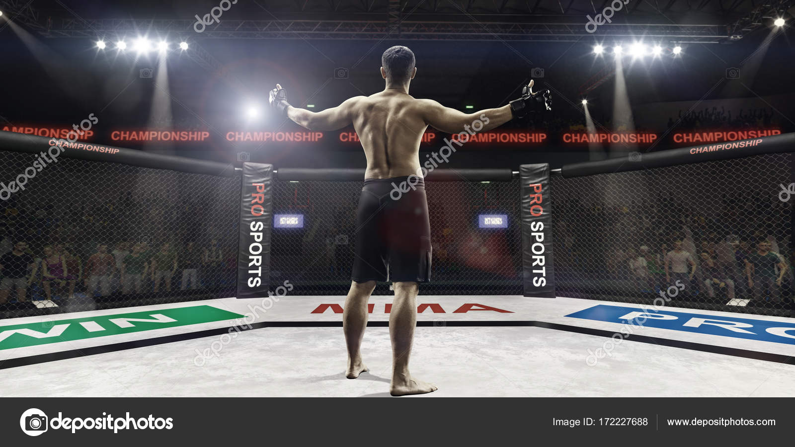 Mma Ring - 1600x900 Wallpaper - teahub.io
