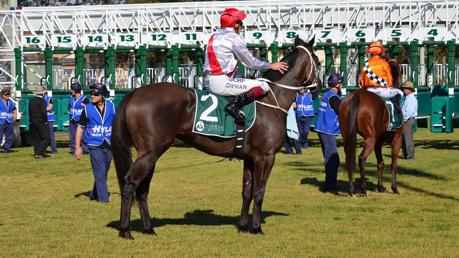 Awesome Horse Racing Free Wallpaper Id - Horse Racing - 1920x1080 ...