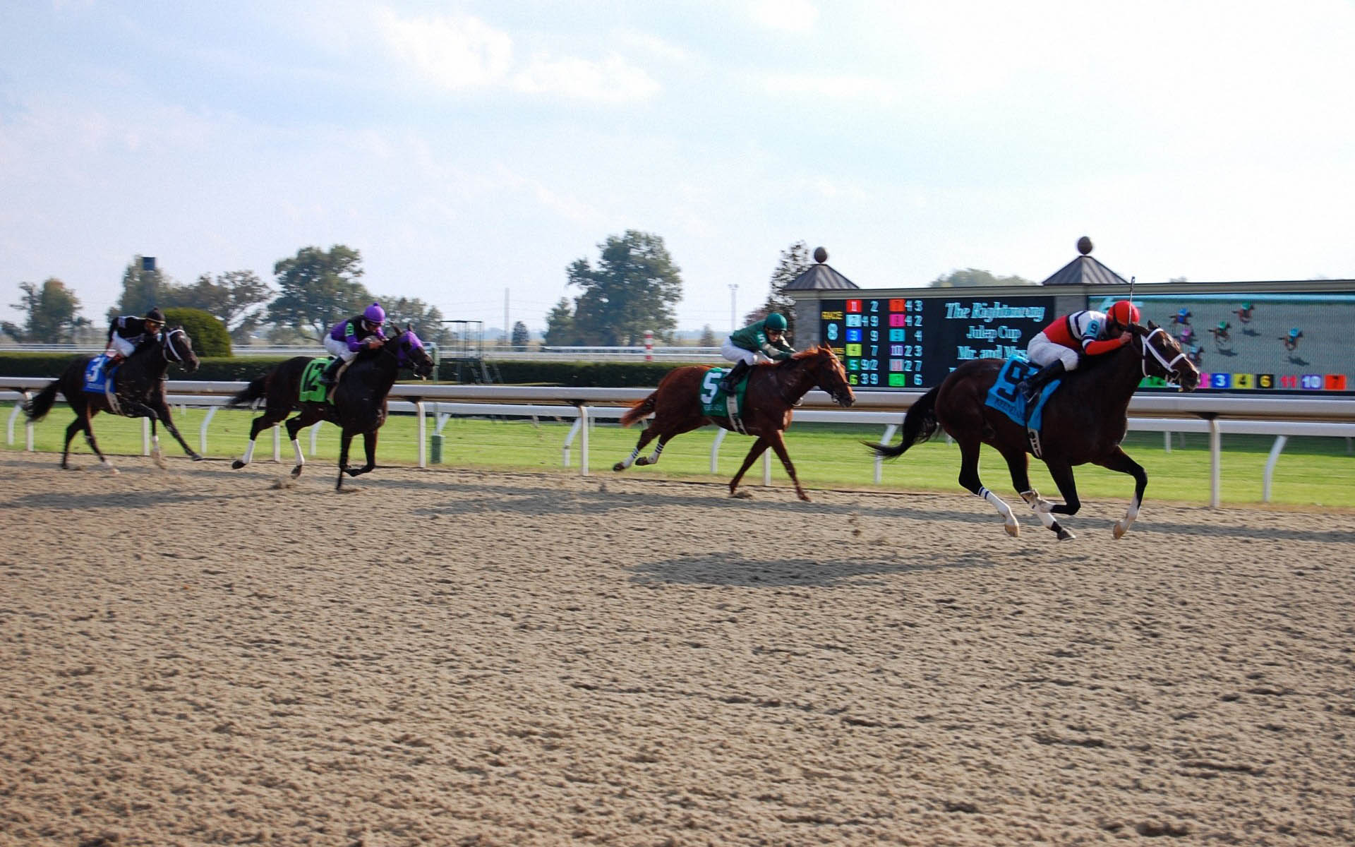 Horses Racing - Horse Race Track - 1920x1200 Wallpaper - teahub.io