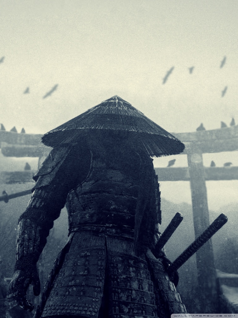 Samurai Wallpaper Sucker Punch - 768x1024 Wallpaper - teahub.io