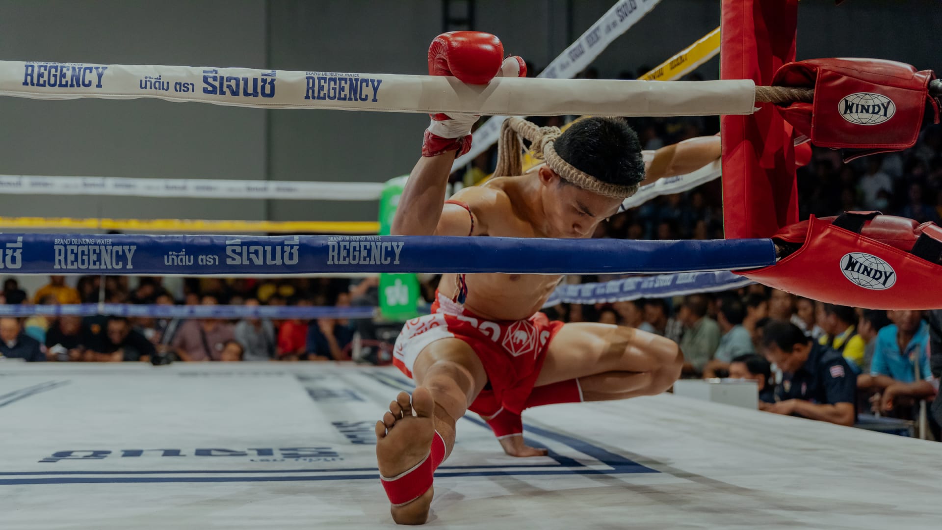 Sanshou - 1920x1080 Wallpaper - teahub.io