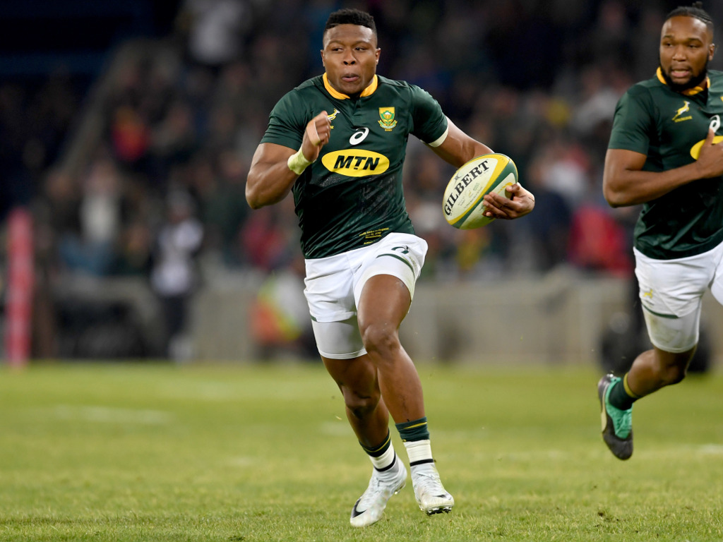 South Africa Rugby Winger 2019 - 1024x768 Wallpaper - teahub.io