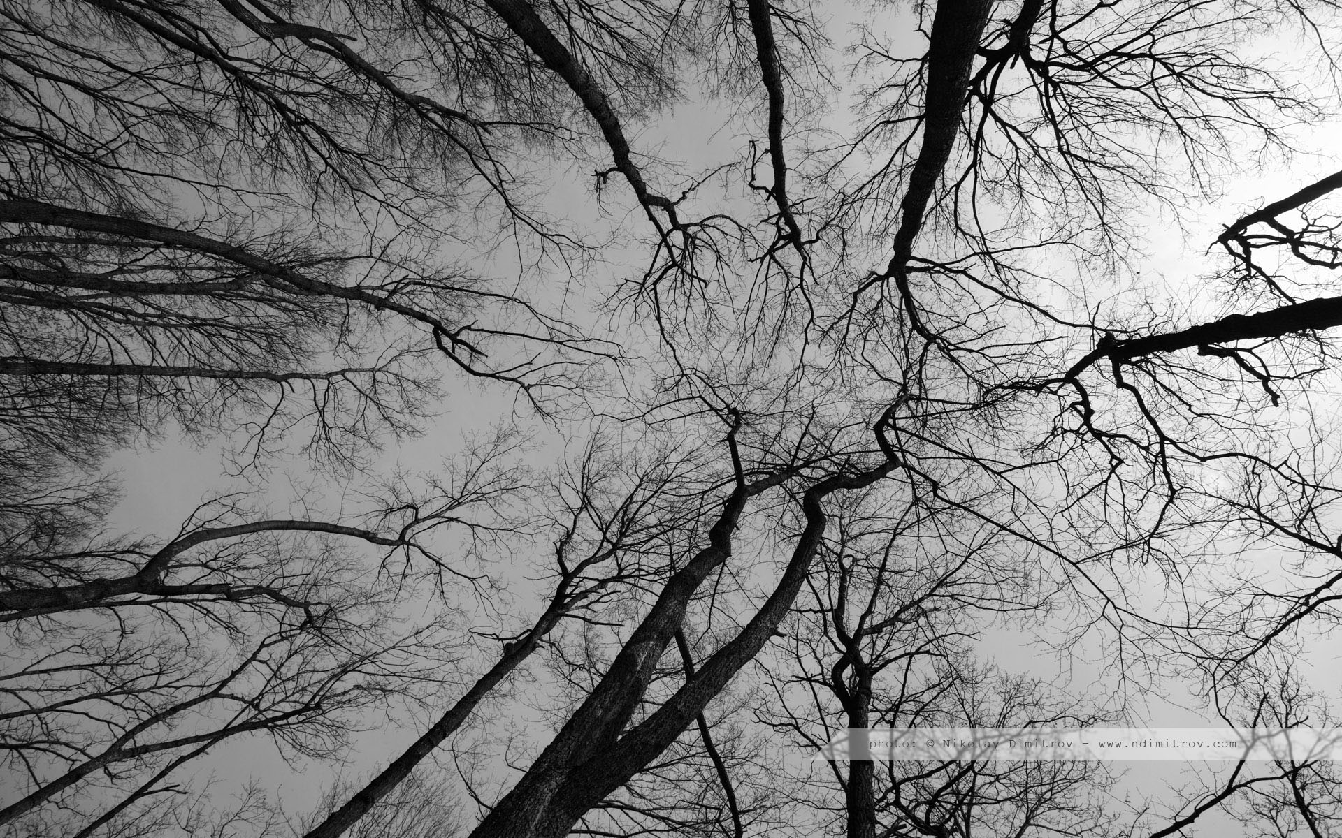 B&w Backgrounds - 1920x1200 Wallpaper - teahub.io