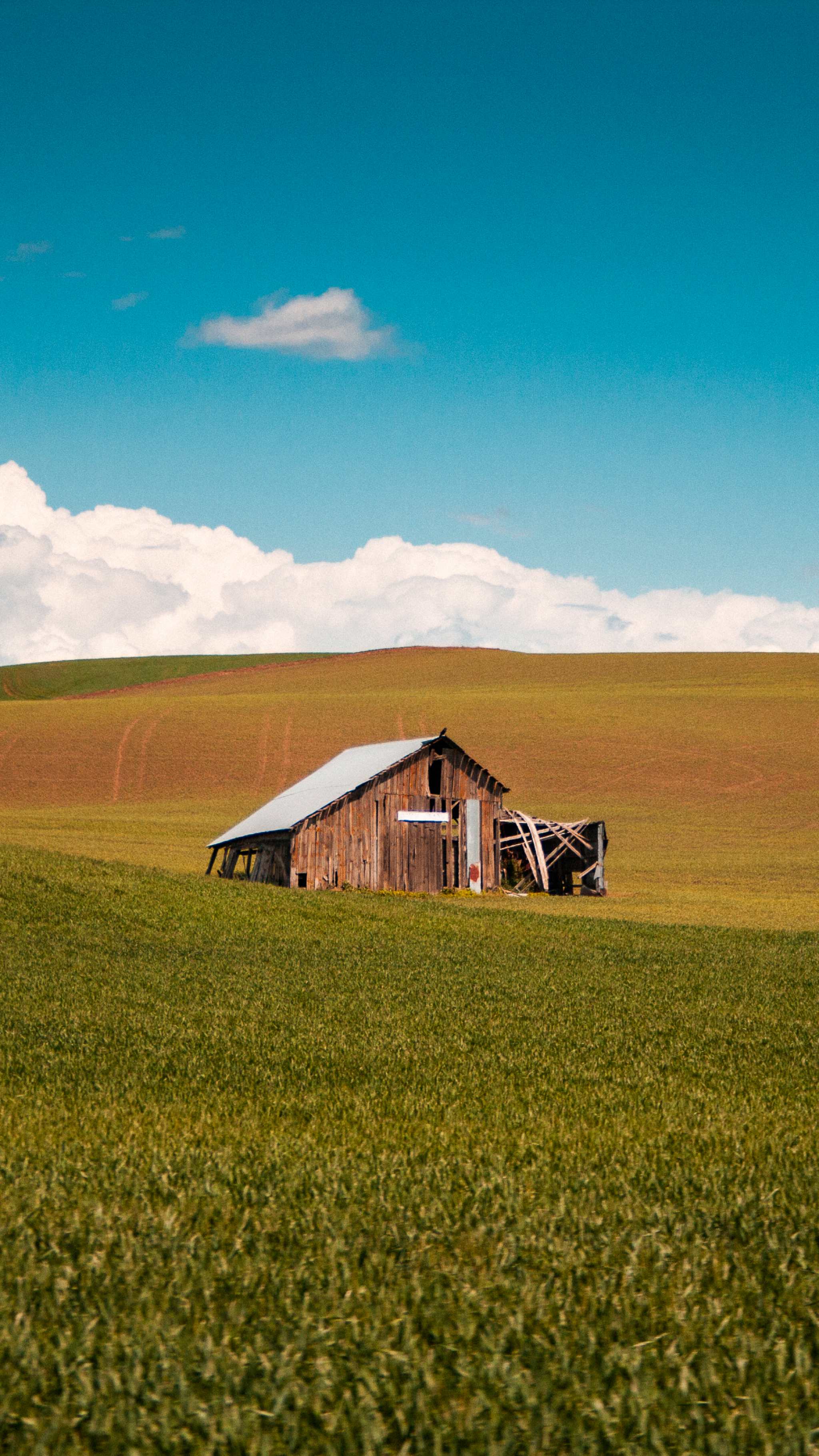 Rural Area - 2048x3641 Wallpaper - teahub.io