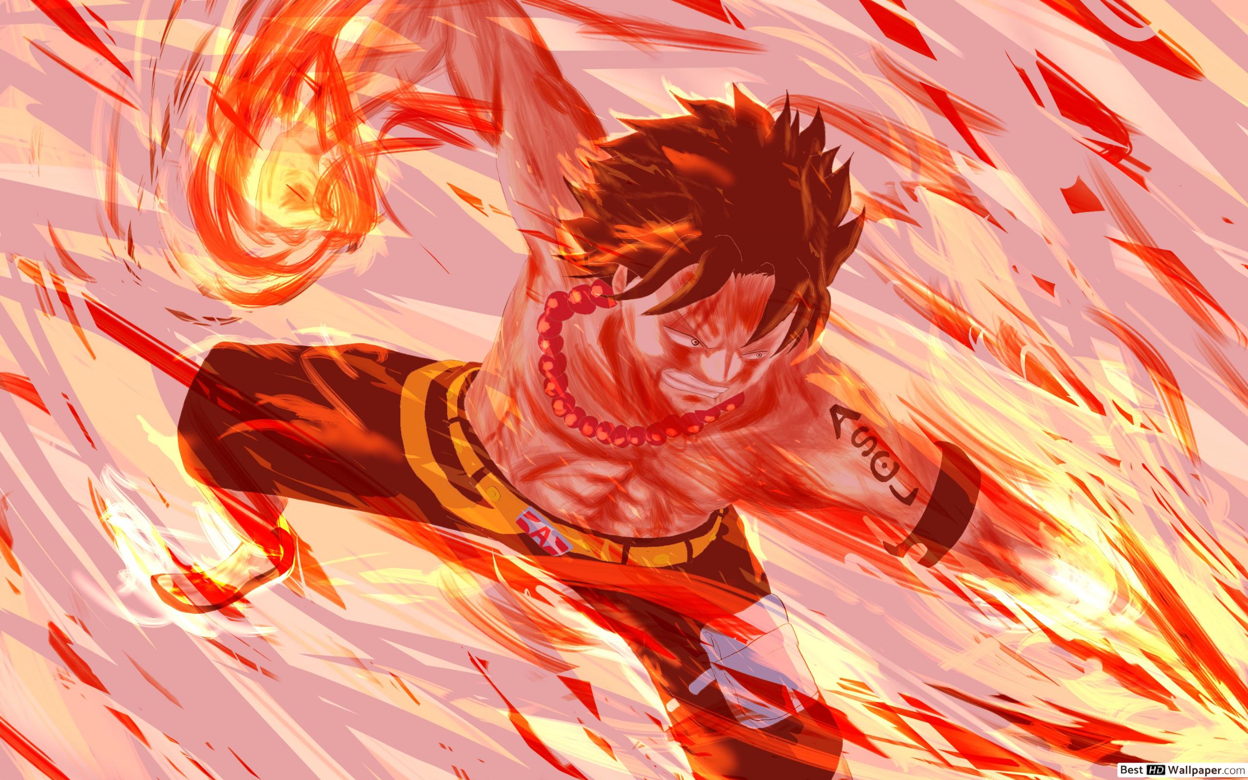 Fire Fist One Piece - 2560x1600 Wallpaper - teahub.io