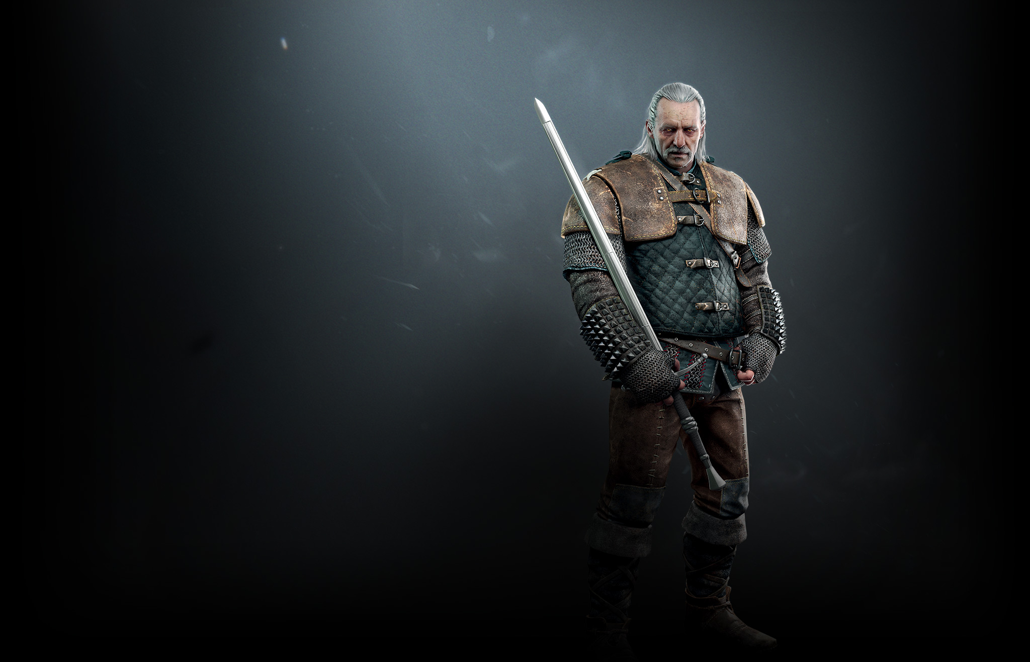 Games The Witcher - Witcher Vesemir - 2048x1317 Wallpaper - teahub.io