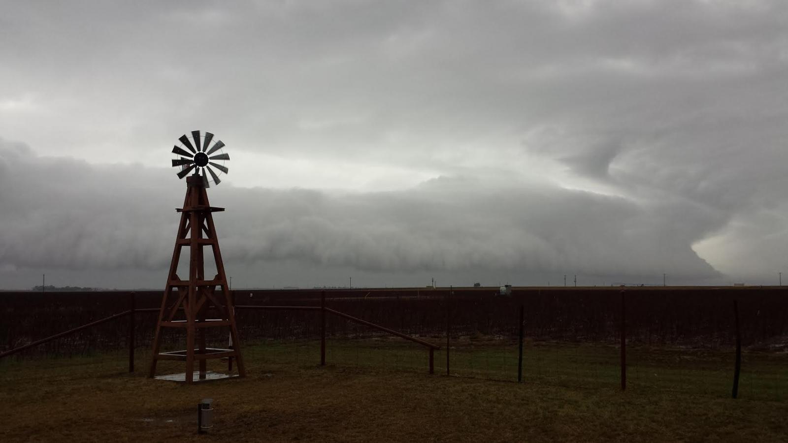 Arcus Cloud Approaching Whitharrel On Wednesday Evening - Tree ...
