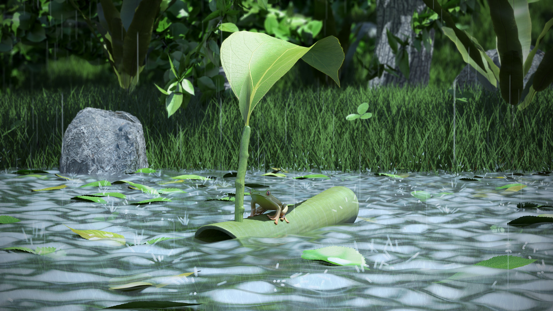 Fish Pond - 1920x1080 Wallpaper - teahub.io