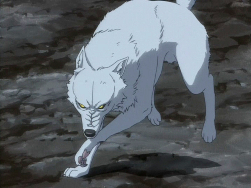 Wolfs Rain Kiba By