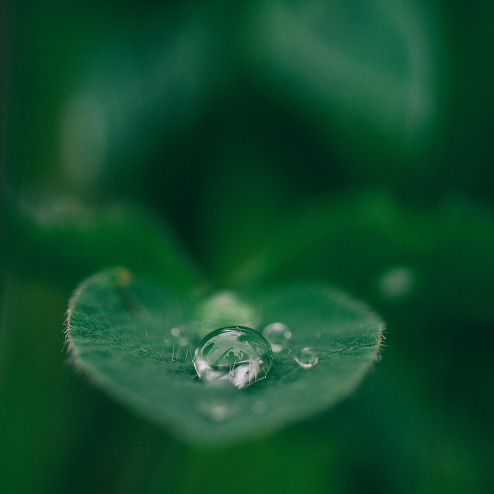 Aasma Ka Barsna Or Jami Ka Mehkna yuu Lagta H Mano - Mujhpe Tera Haq ...