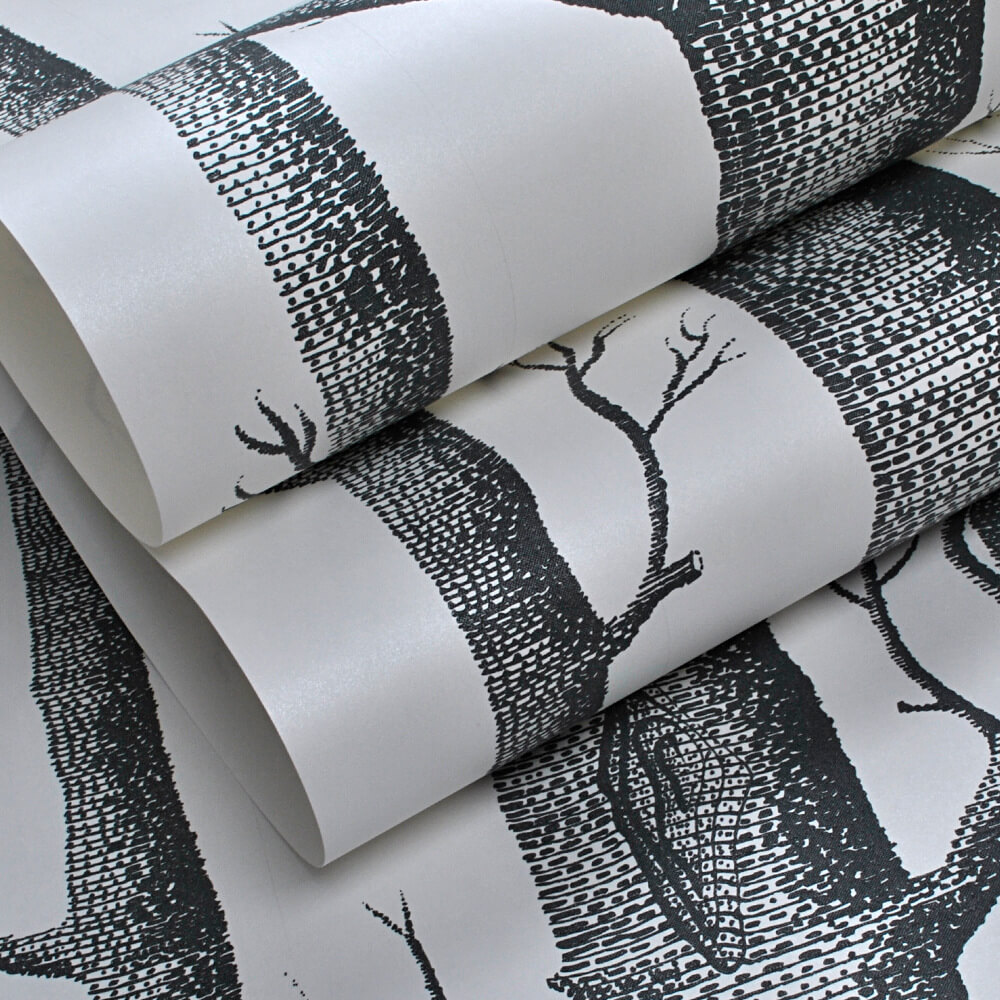 Download Wallpaper - Teahub.io