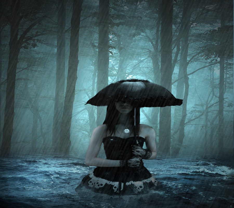 Rainfall Wallpaper - Image Wallpapers - Old-growth Forest - 900x800 ...