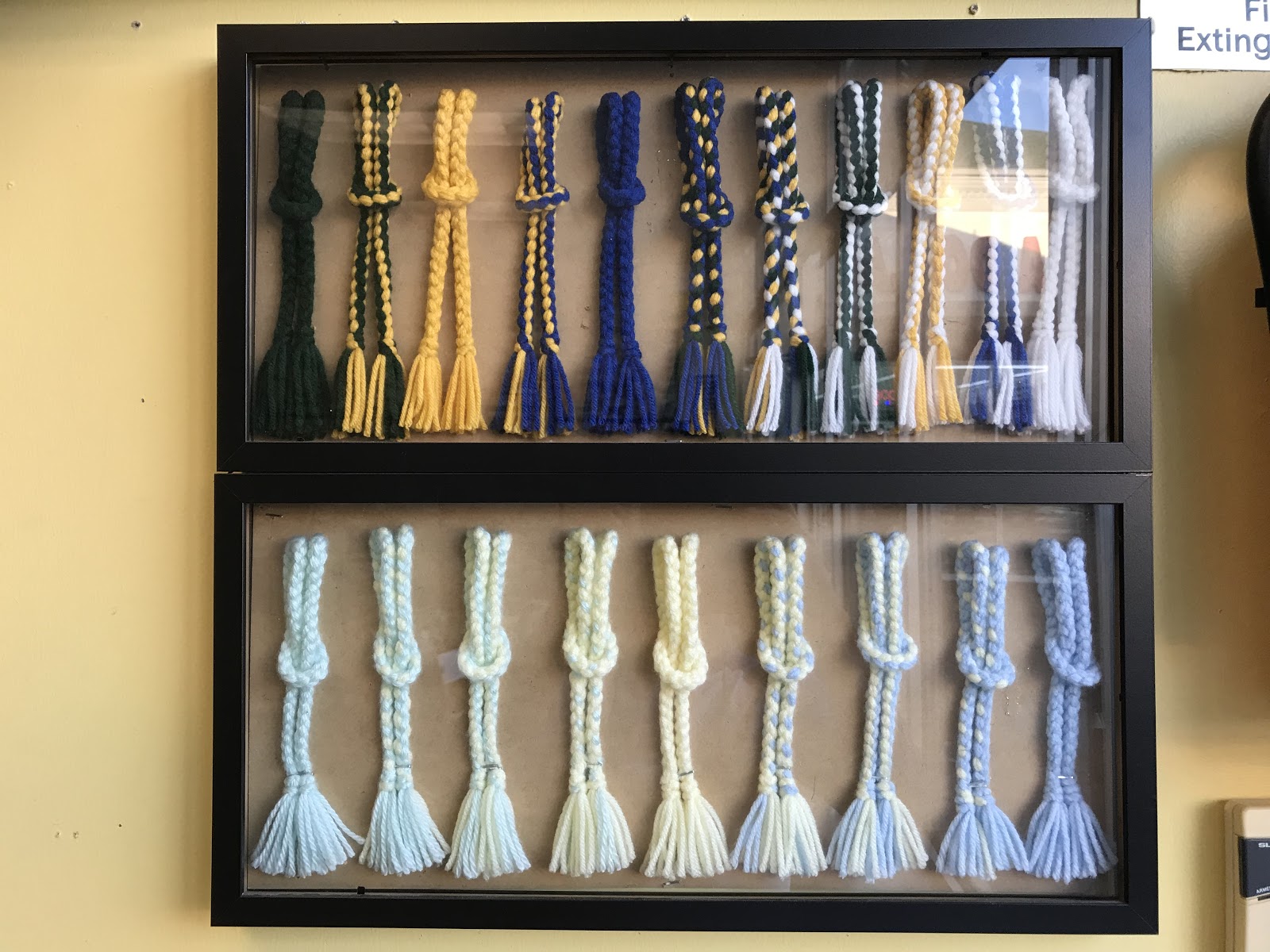 Display Case - 1600x1200 Wallpaper - teahub.io