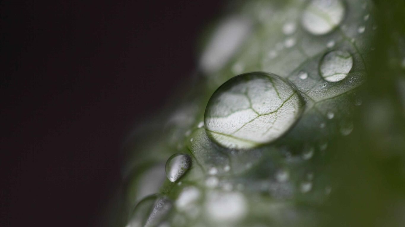 Wallpaper - 1366x768 Wallpaper - teahub.io