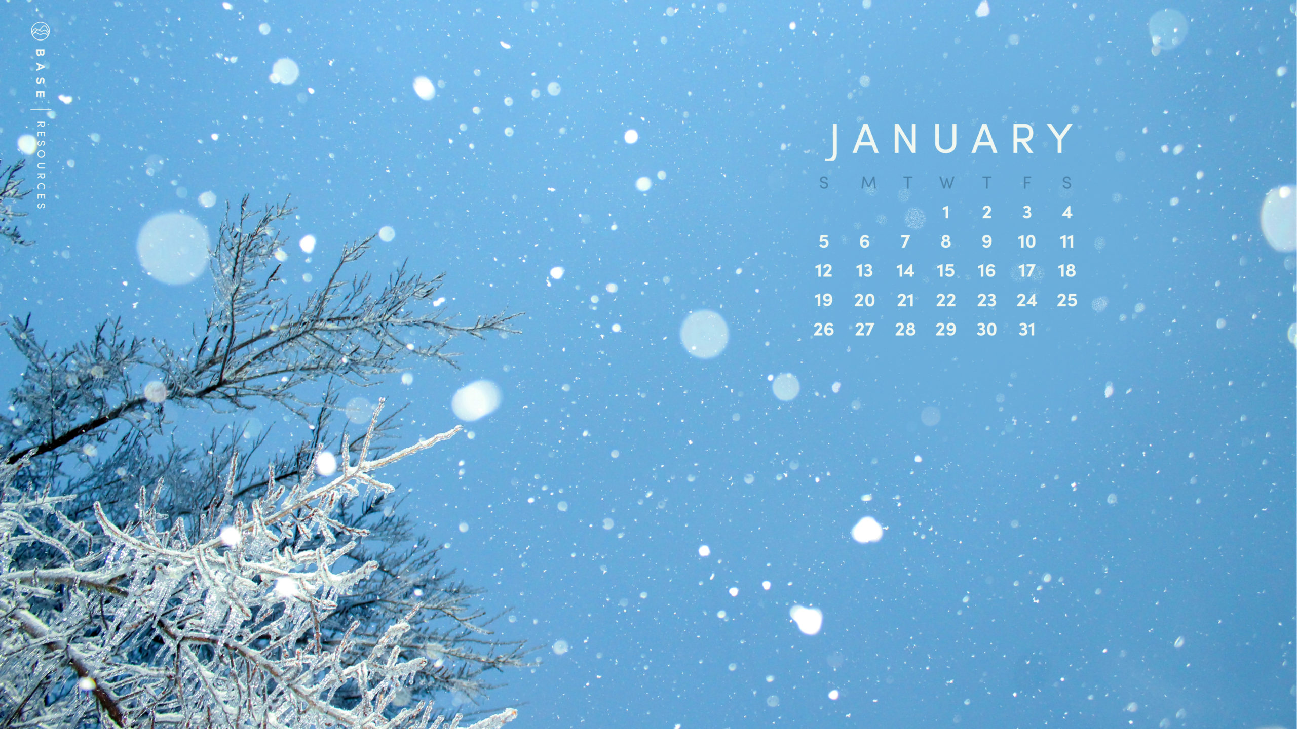 Cute January Desktop Wallpaper 2020 - 2560x1440 Wallpaper - teahub.io