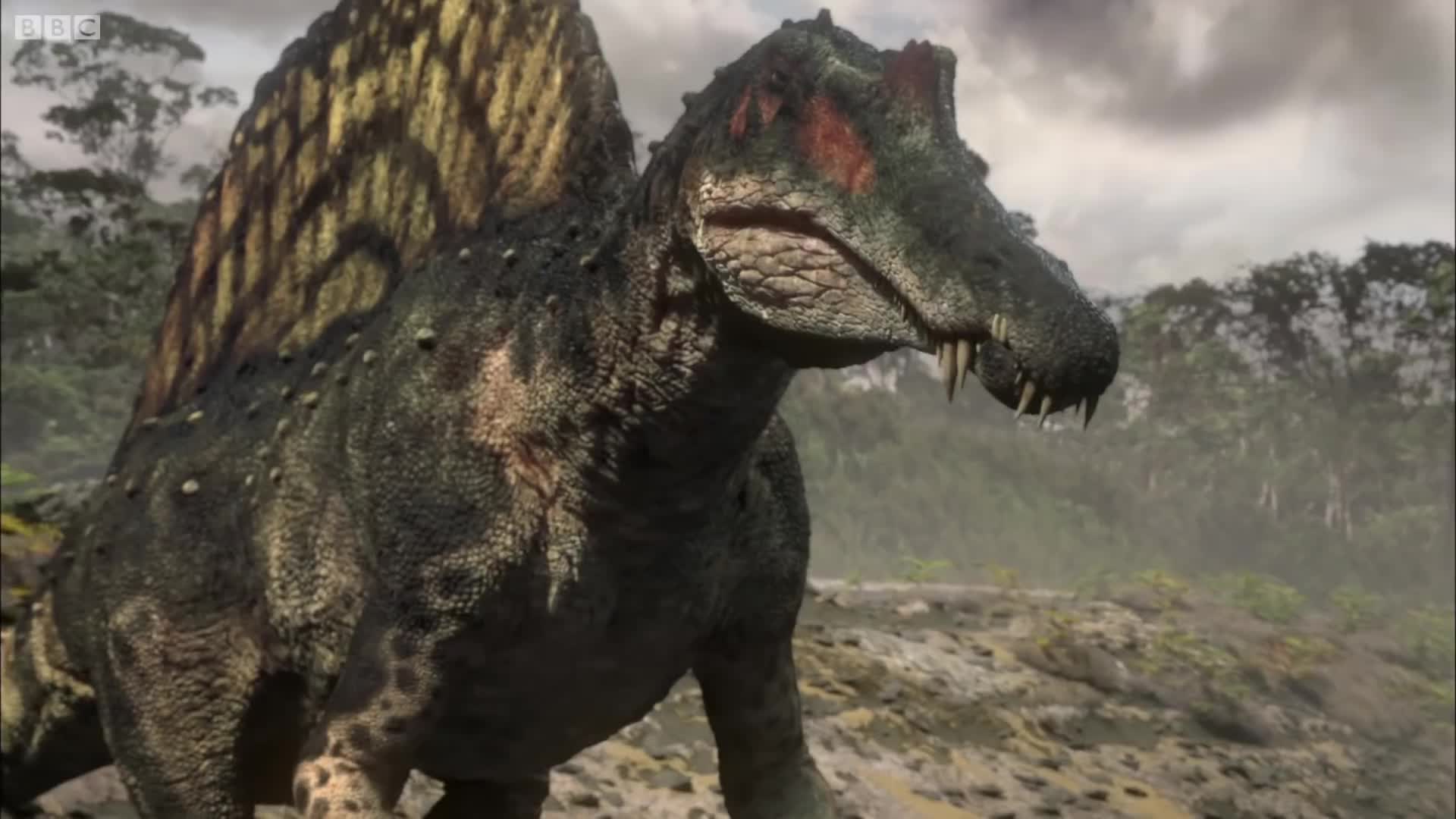 Planet Dinosaur Spinosaurus Gifs - 1920x1080 Wallpaper - teahub.io