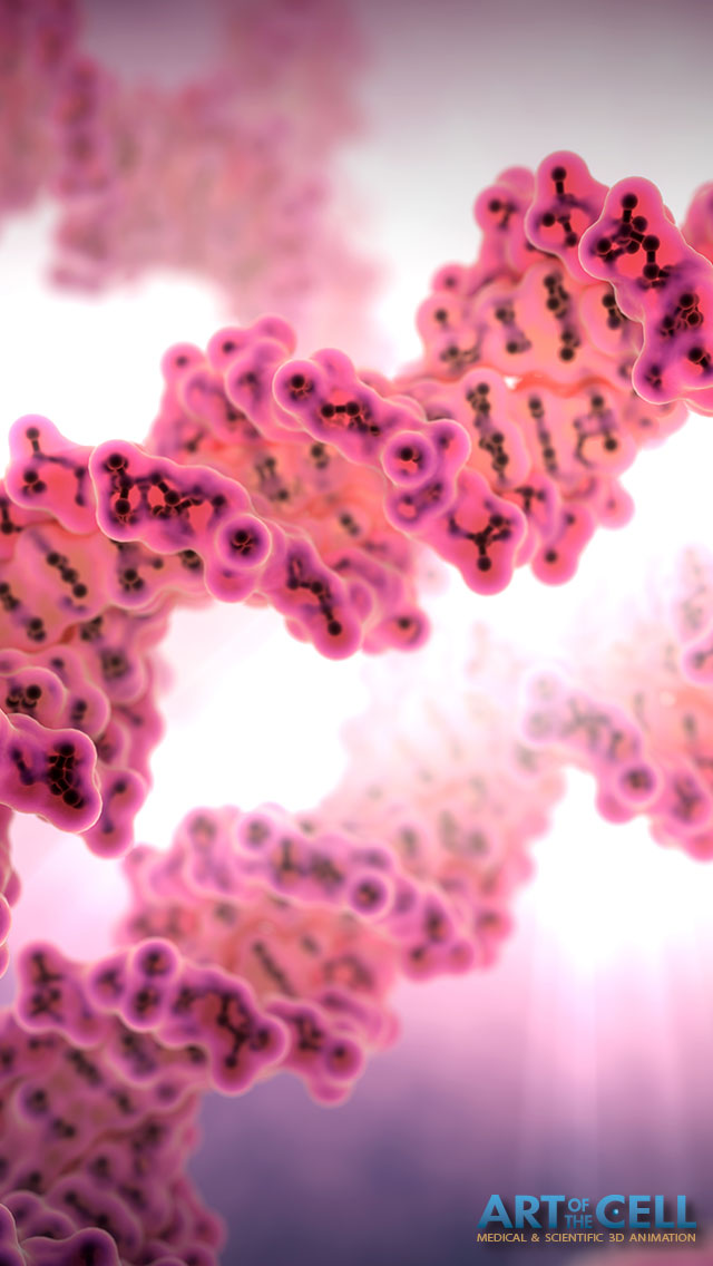 Pink Science Iphone - 640x1136 Wallpaper - teahub.io