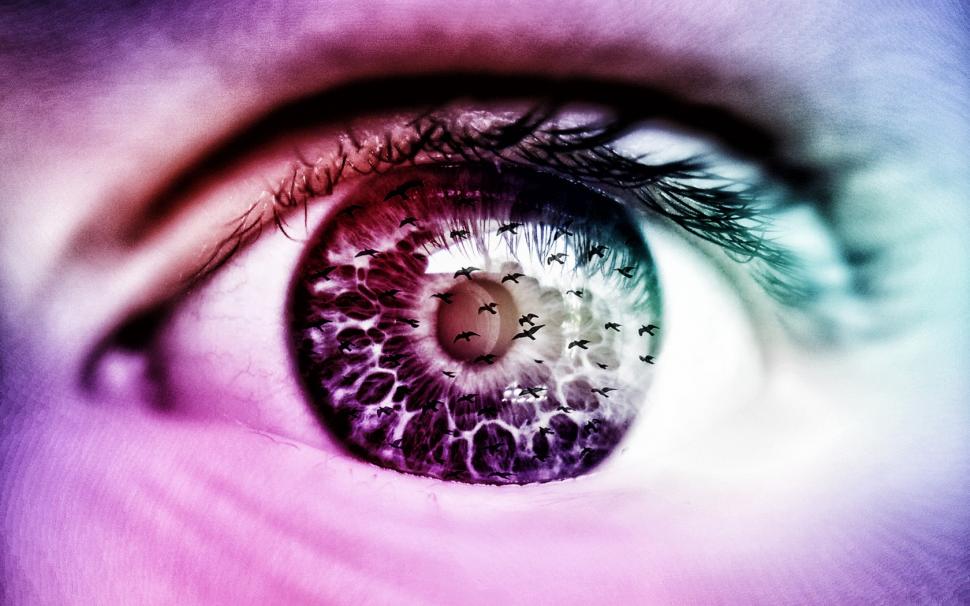 Creative Eye To See Birds Wallpaper,creative Wallpaper,eye - Eye ...