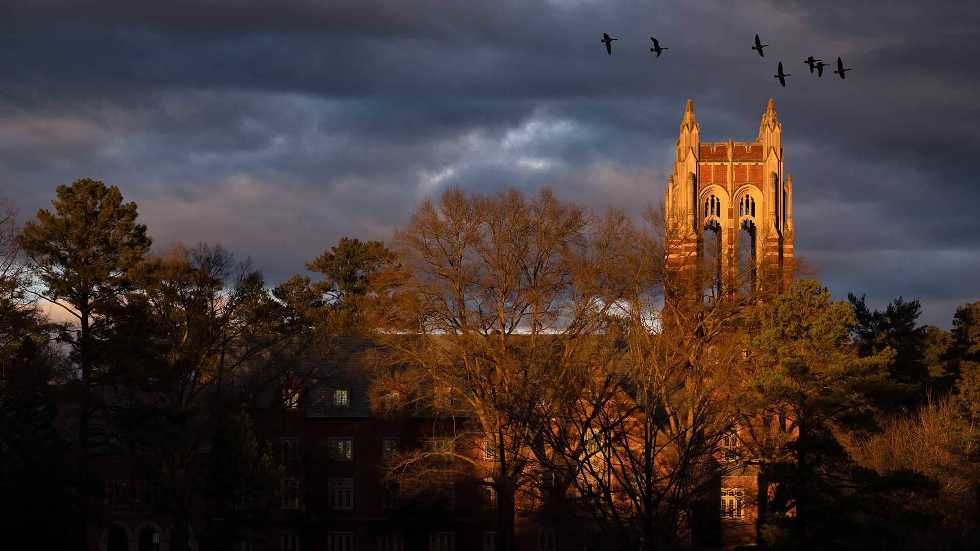 Boatwright Memorial Library - Autumn - 1920x1080 Wallpaper - teahub.io