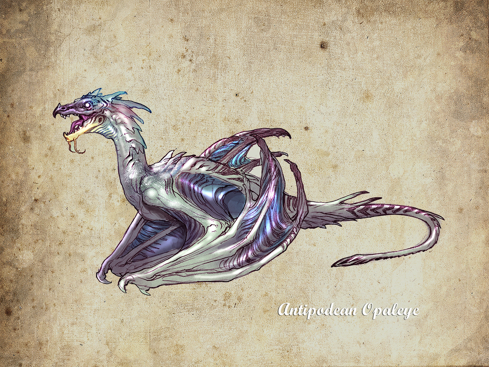 Harry Potter Antipodean Opaleye - 1600x1200 Wallpaper - teahub.io