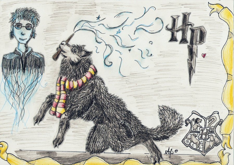 Harry As Wolf - Harry Potter As A Wolf - 900x637 Wallpaper - teahub.io
