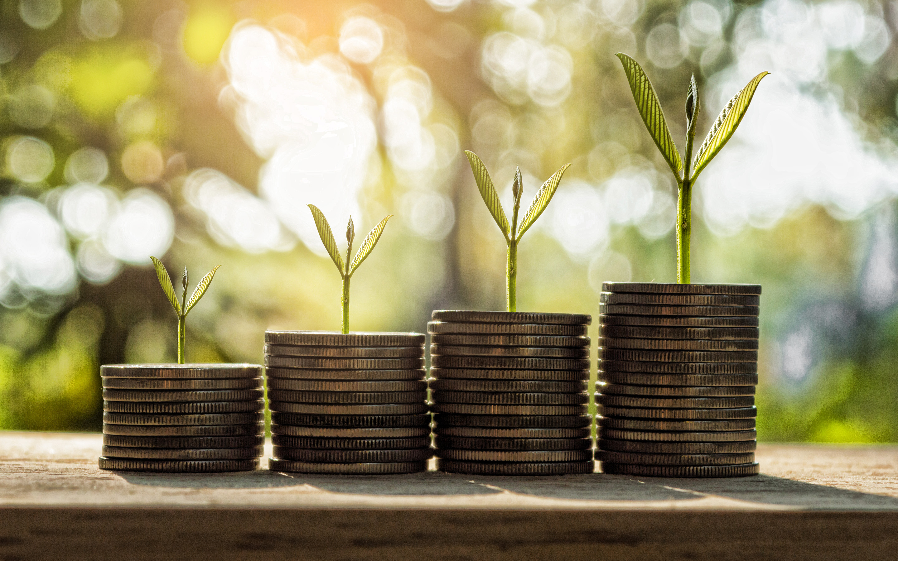 Money Growth, Stacks Of Coins, Diagram Of The Coins, - Money ...