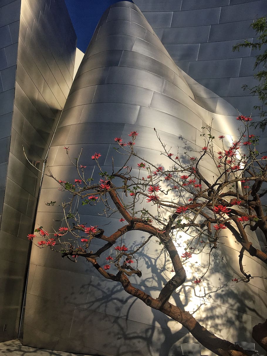 Architecture, Design, Flowers, Building, Construction, - Architecture ...