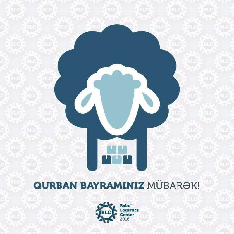 Sabir Name Wallpaper - 800x800 Wallpaper - teahub.io