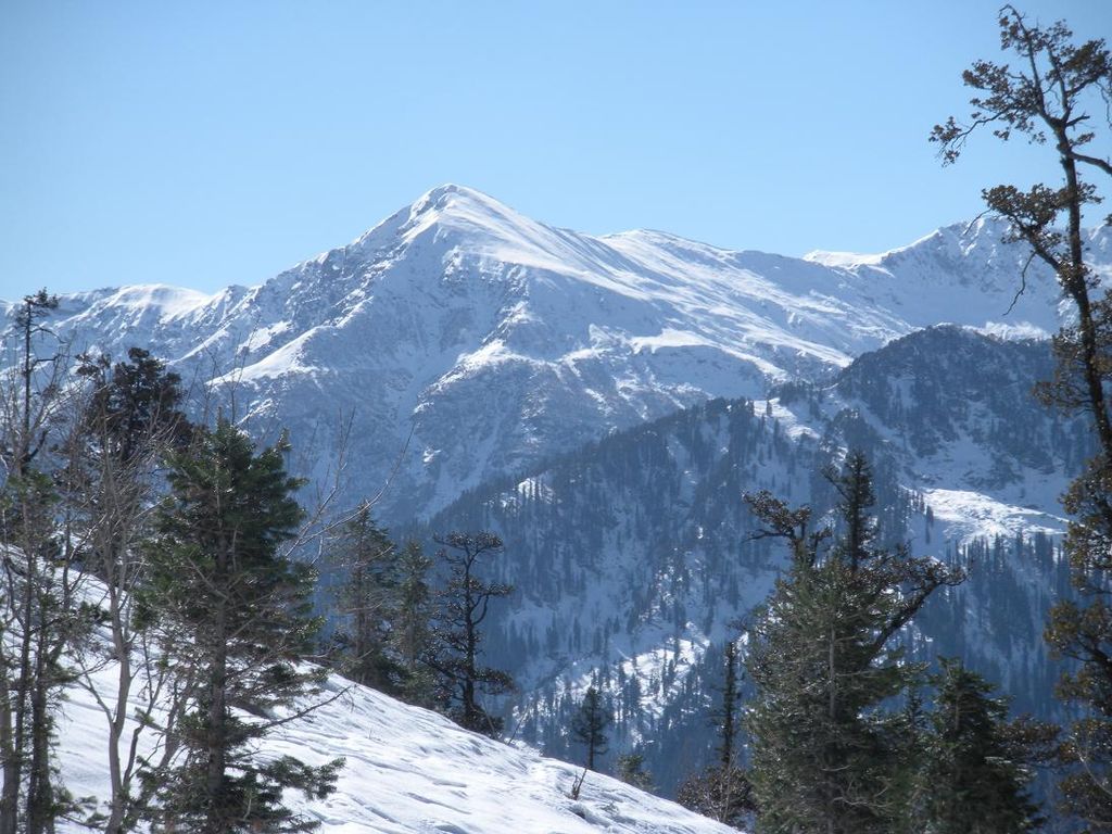 Kothi Manali Himachal Pradesh - 1024x768 Wallpaper - teahub.io