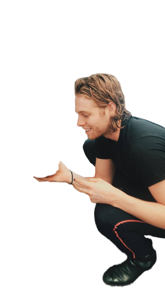 5sos Transparent Full Body Luke Hemmings - Luke Hemmings Dog Petunia ...