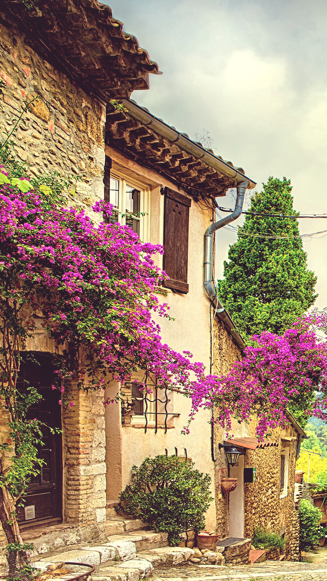 Classic House Wallpaper - Provence Bougainvillea - 1080x1920 Wallpaper ...