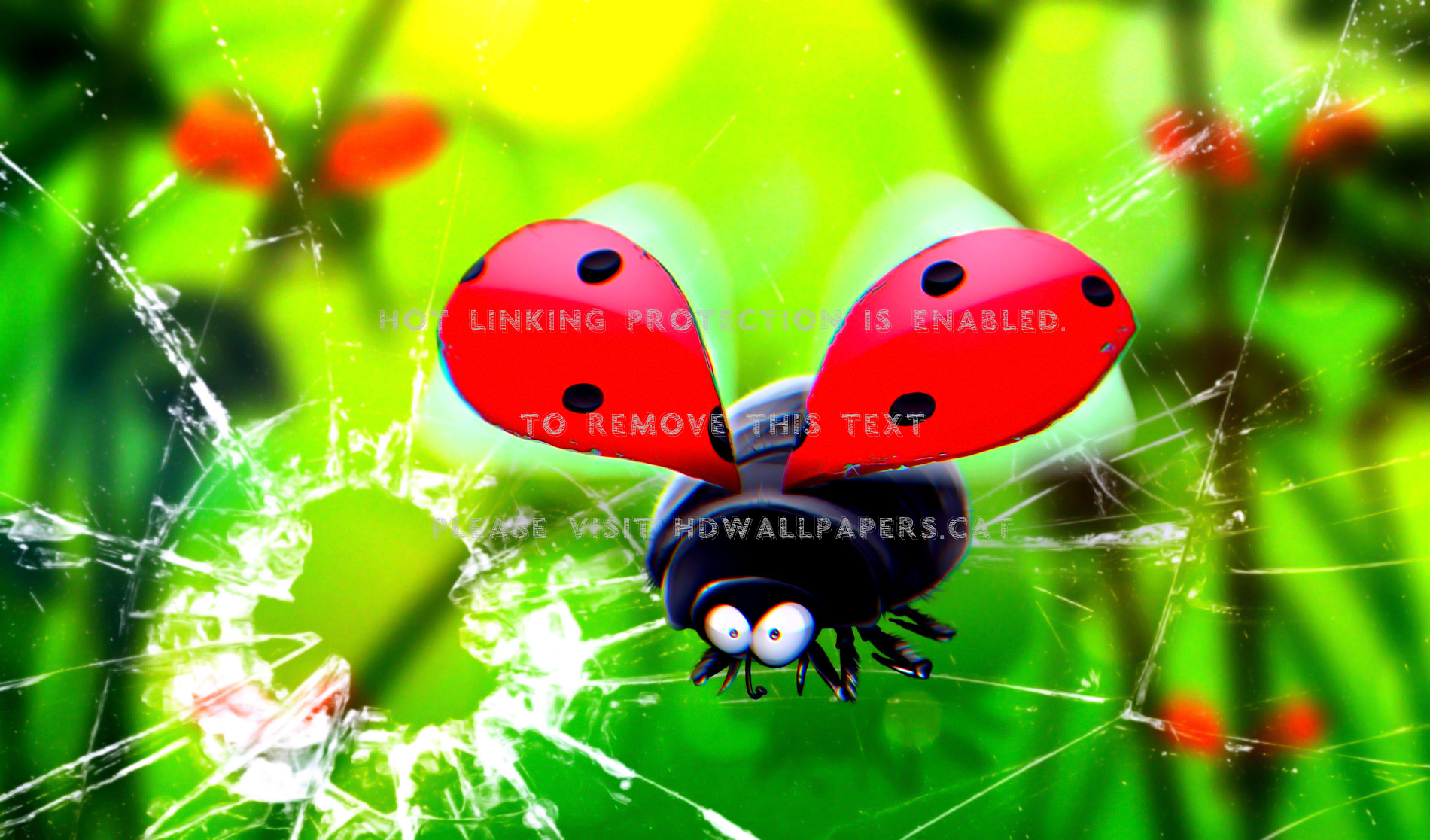 Oops Red Crack Cracked Glass Ladybug Funny - Wallpaper - 1900x1116 ...