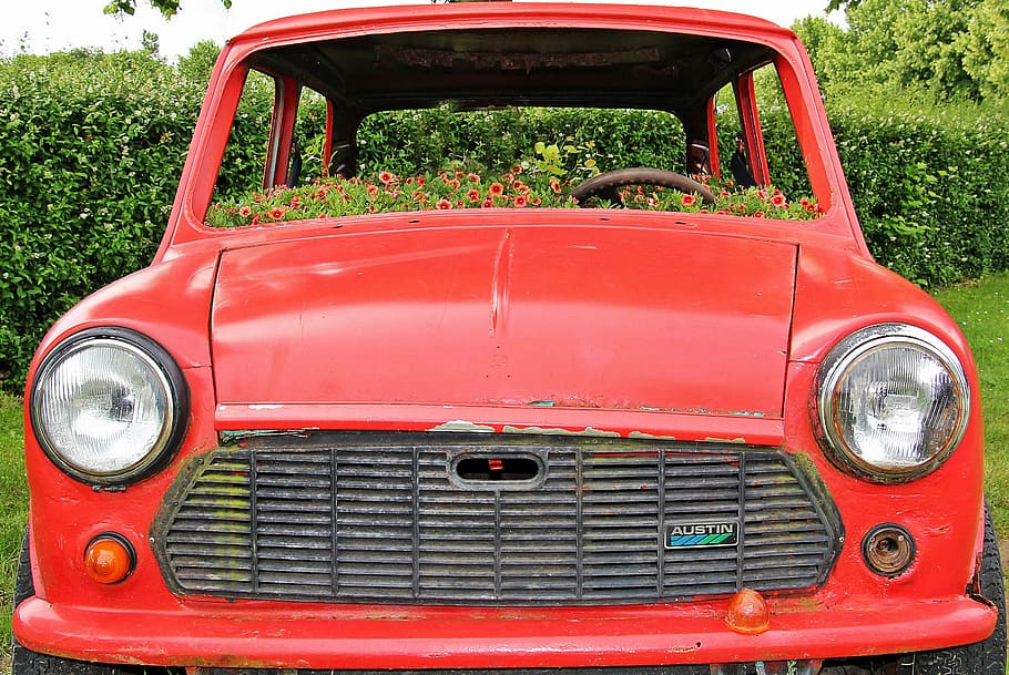 Red Classic Mini Cooper, Auto, Flowers Bumper, Bepflantes - 910x609 ...
