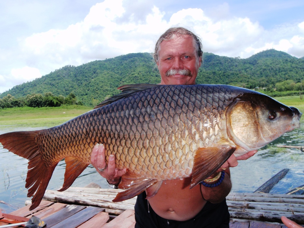 Big Fish Wallpaper Sensational - Big Rui Fish - 1024x768 Wallpaper ...