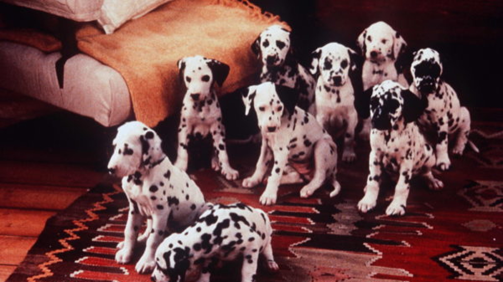 101 Dalmatians Movie Dog - 1600x900 Wallpaper - teahub.io