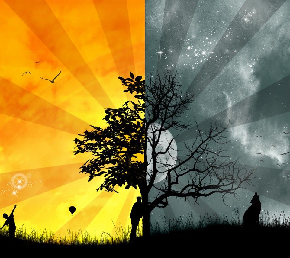 Good And Evil Tree - 960x854 Wallpaper - teahub.io