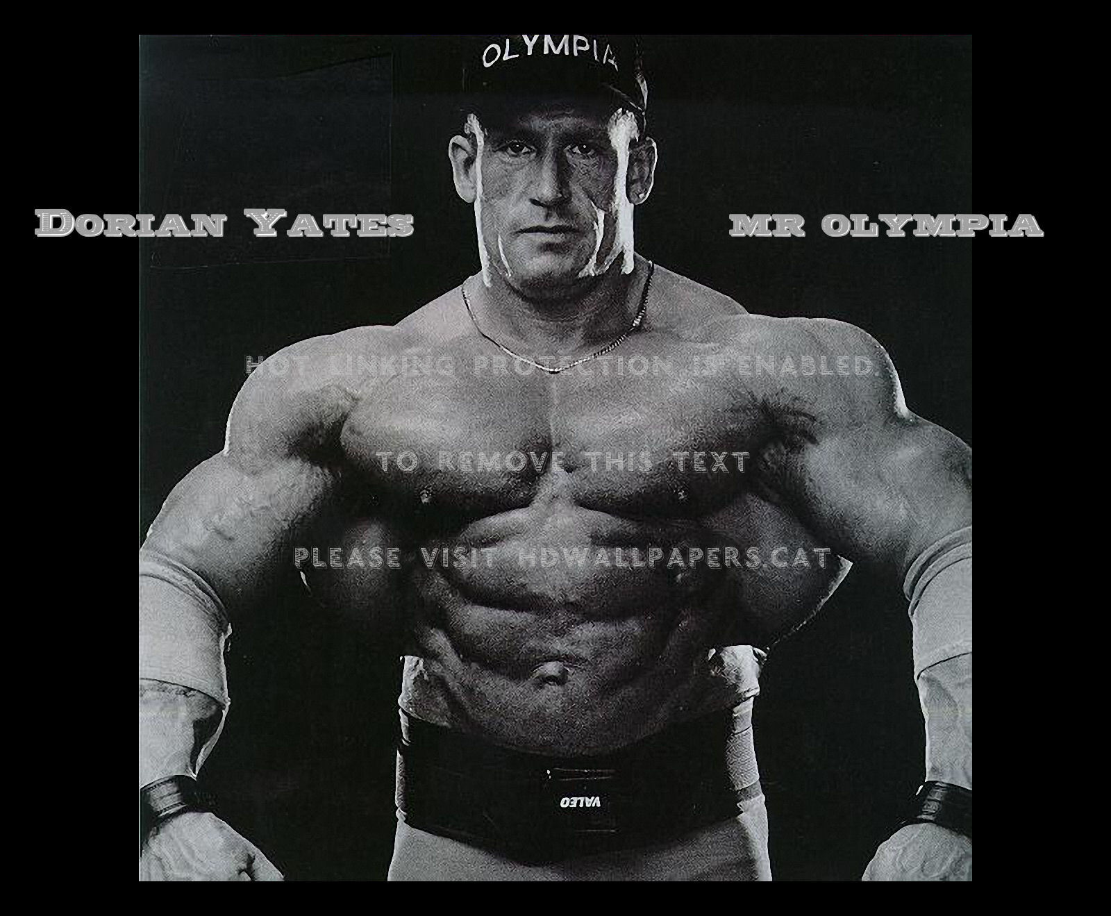 Dorian Yates Ripped British Bodybuilder - Dorian Yates - 1600x1319 ...