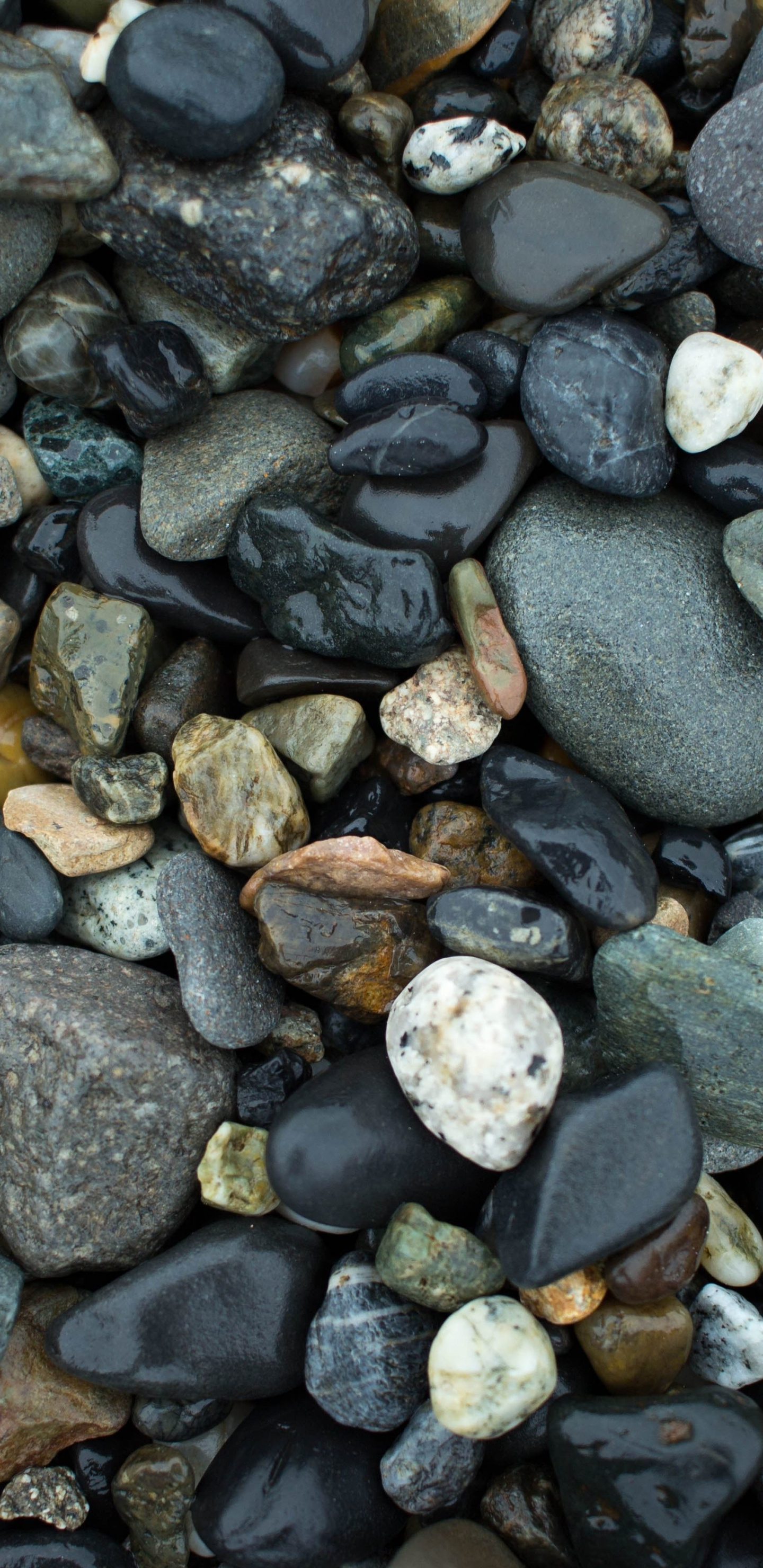 Wet Stones, Rocks, Wallpaper - Stones Wallpaper 4k - 1440x2960 ...